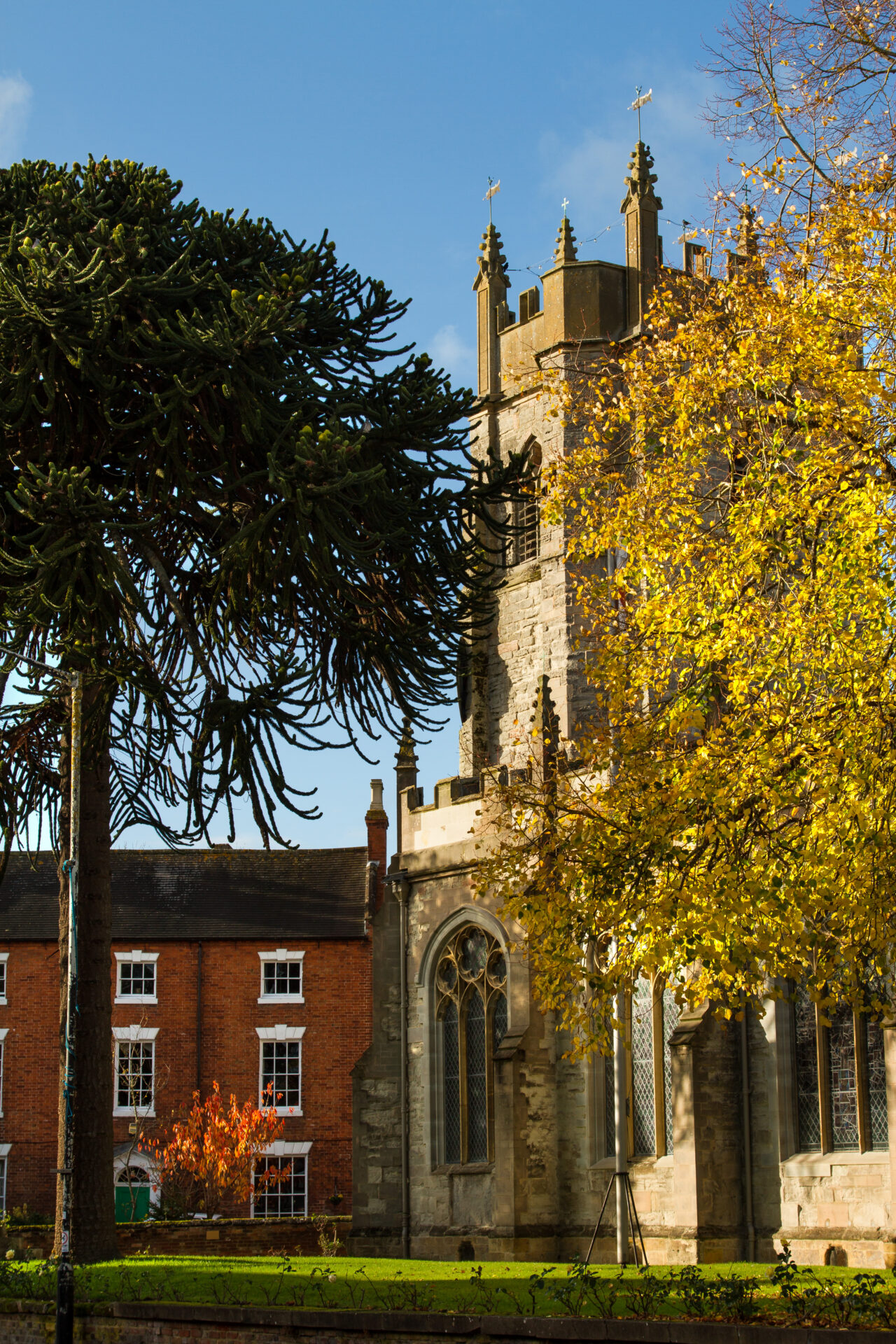 Alcester